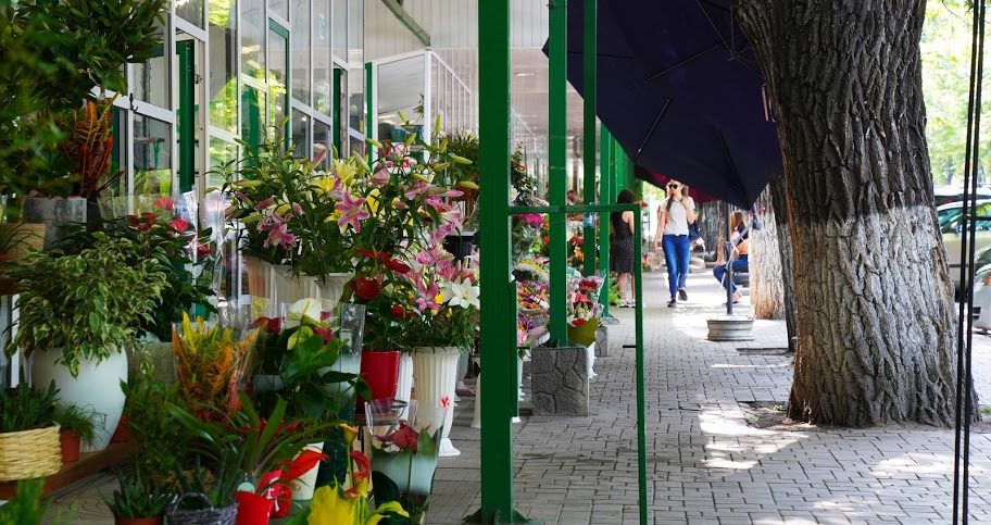 Gheretele cu flori din Parcul Catedralei ar putea fi modernizate. „Nu ...