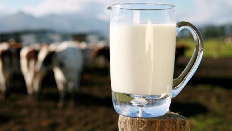 Ce se întâmplă în organismul tău dacă bei lapte în mod regulat? Noi ...